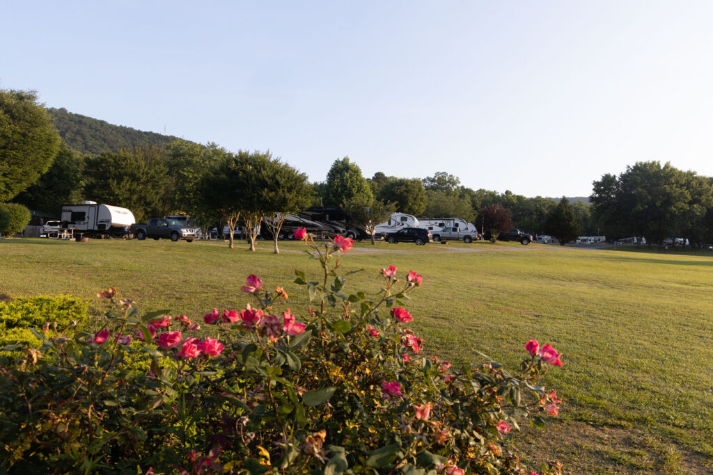 Ways to stay - Raccoon Mountain Campground